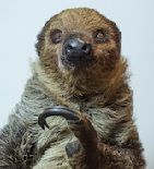 Sunday School Kick-Off