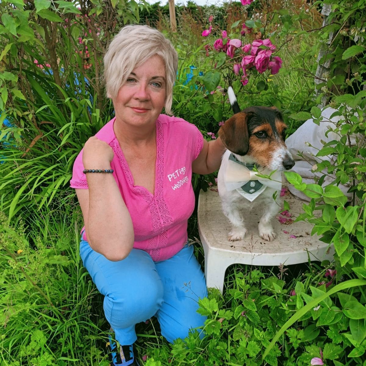 Wedding Dog Chaperone service covering the Leinster area