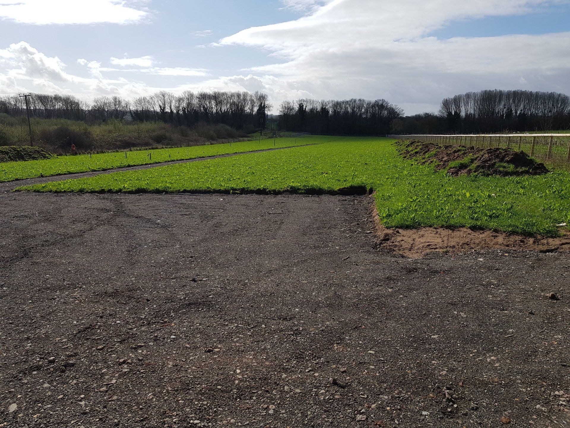 Wildgoose Rural Training & Nature Reserve | Worcester