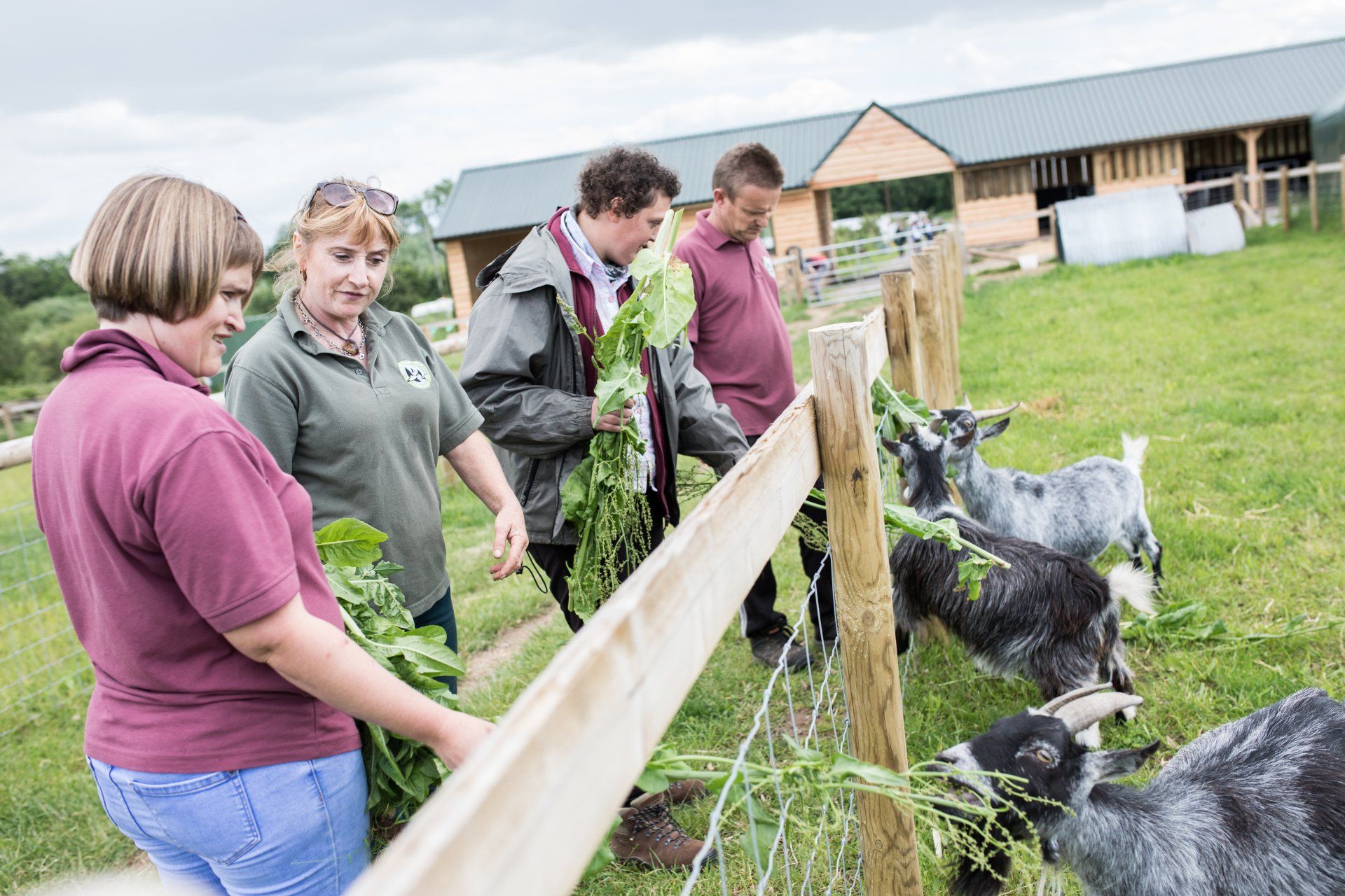 Wildgoose Rural Training & Nature Reserve | Worcester