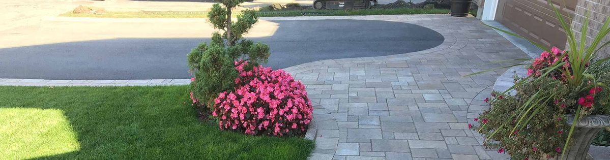 Expert Landscaping | Landmark Landscape
