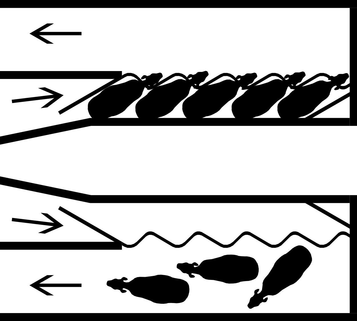 Milking Parlour Layout