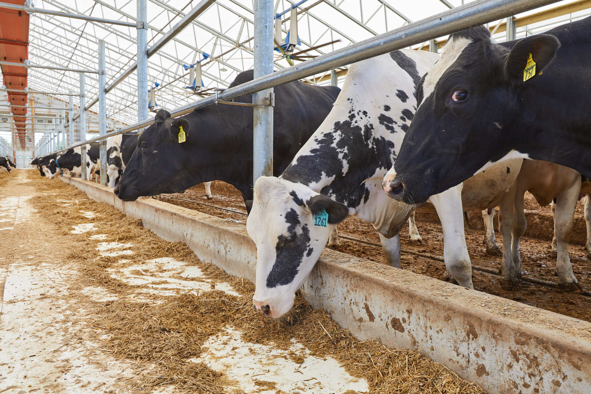 JBZ Dairy Advantage | DeLaval Dairy Parlor Installations, VMS Robotics, Tie Stall Pipelines ...