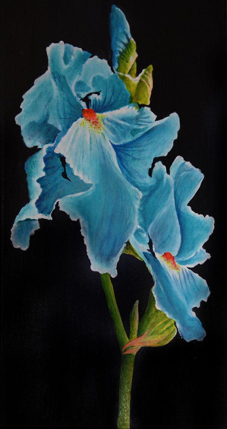 DKW Art Gallery | Marion, IA