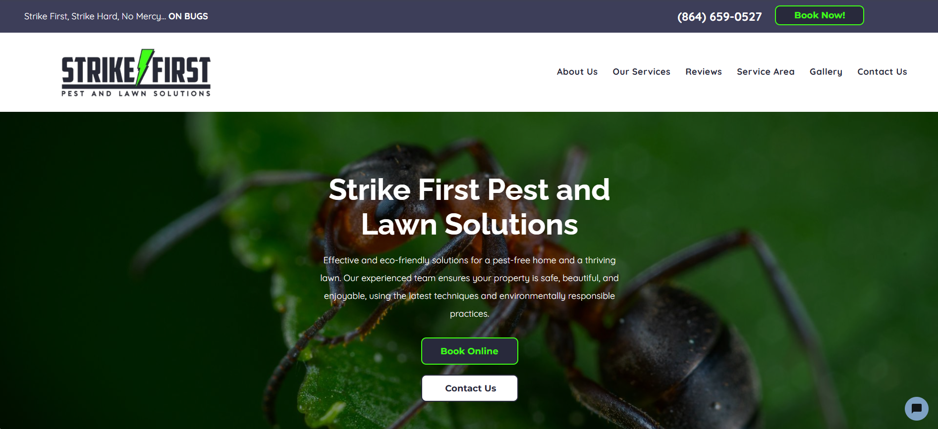 Pest Control | Strike First Pest and Lawn Solutions