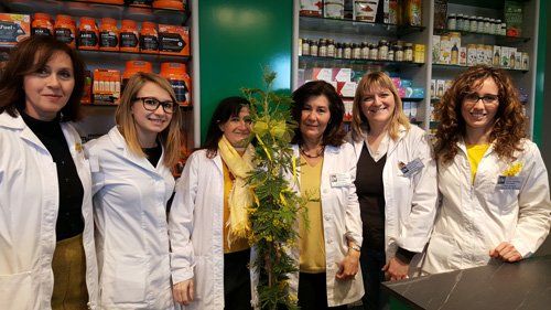 Rimedi fitoterapici | Seregno, MB | Farmacia Dott.ssa Re Cinzia