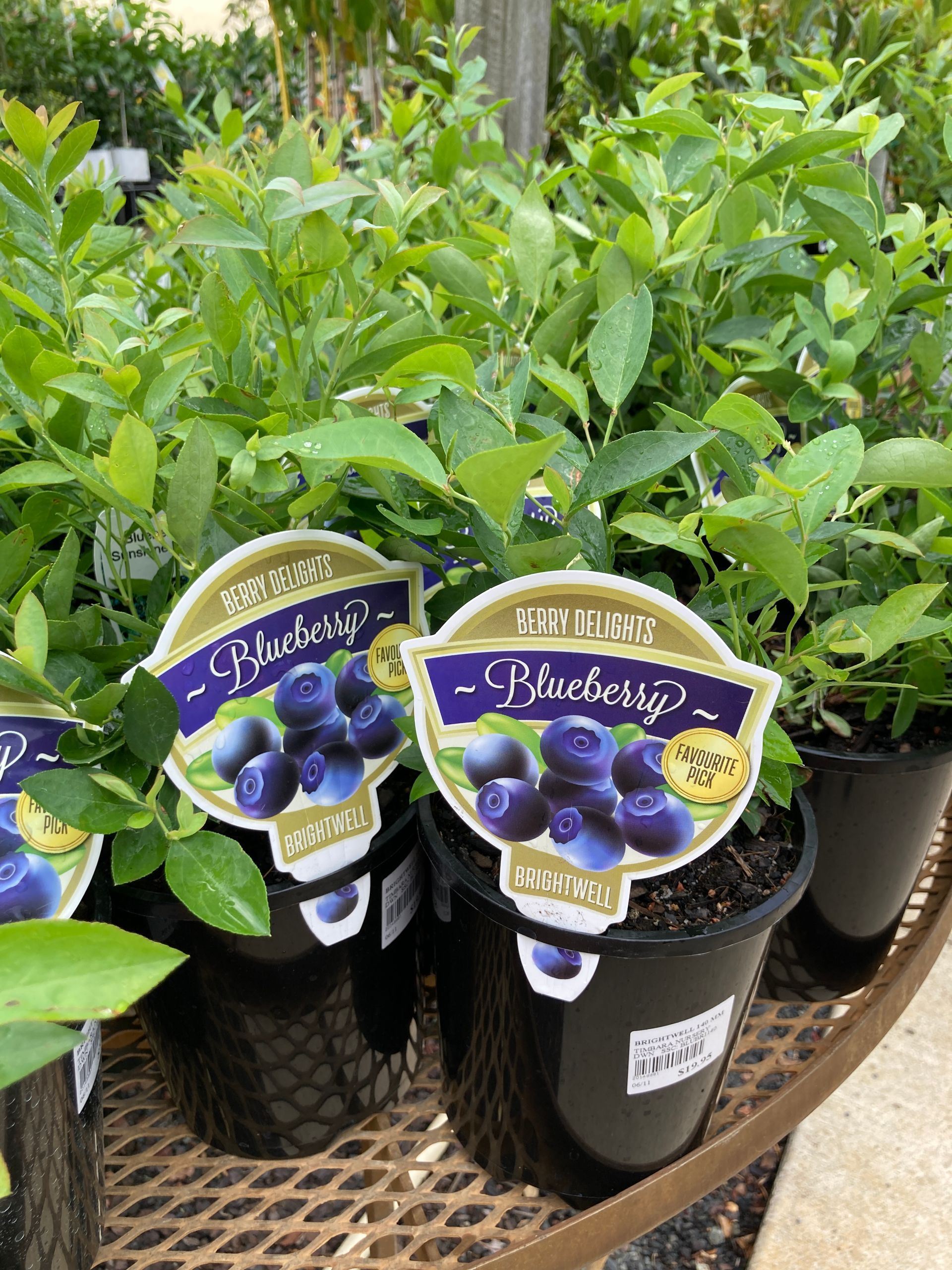 Timbara Garden Centre