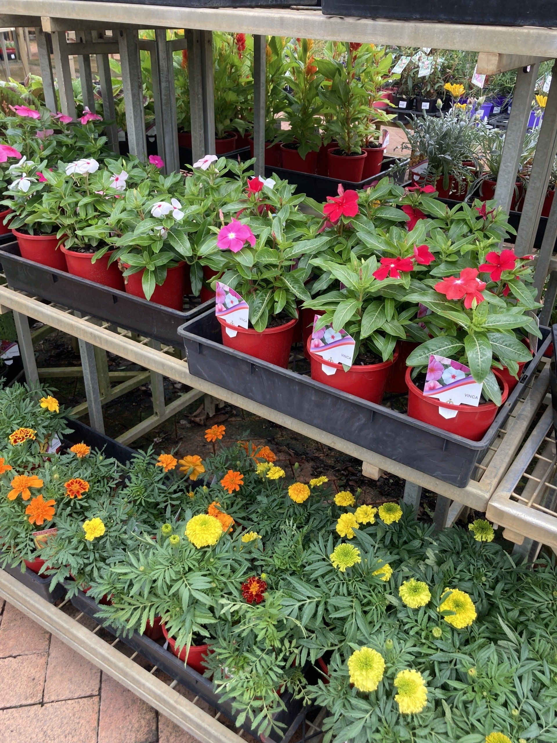 Special Deals & Promotions | Timbara Garden Centre
