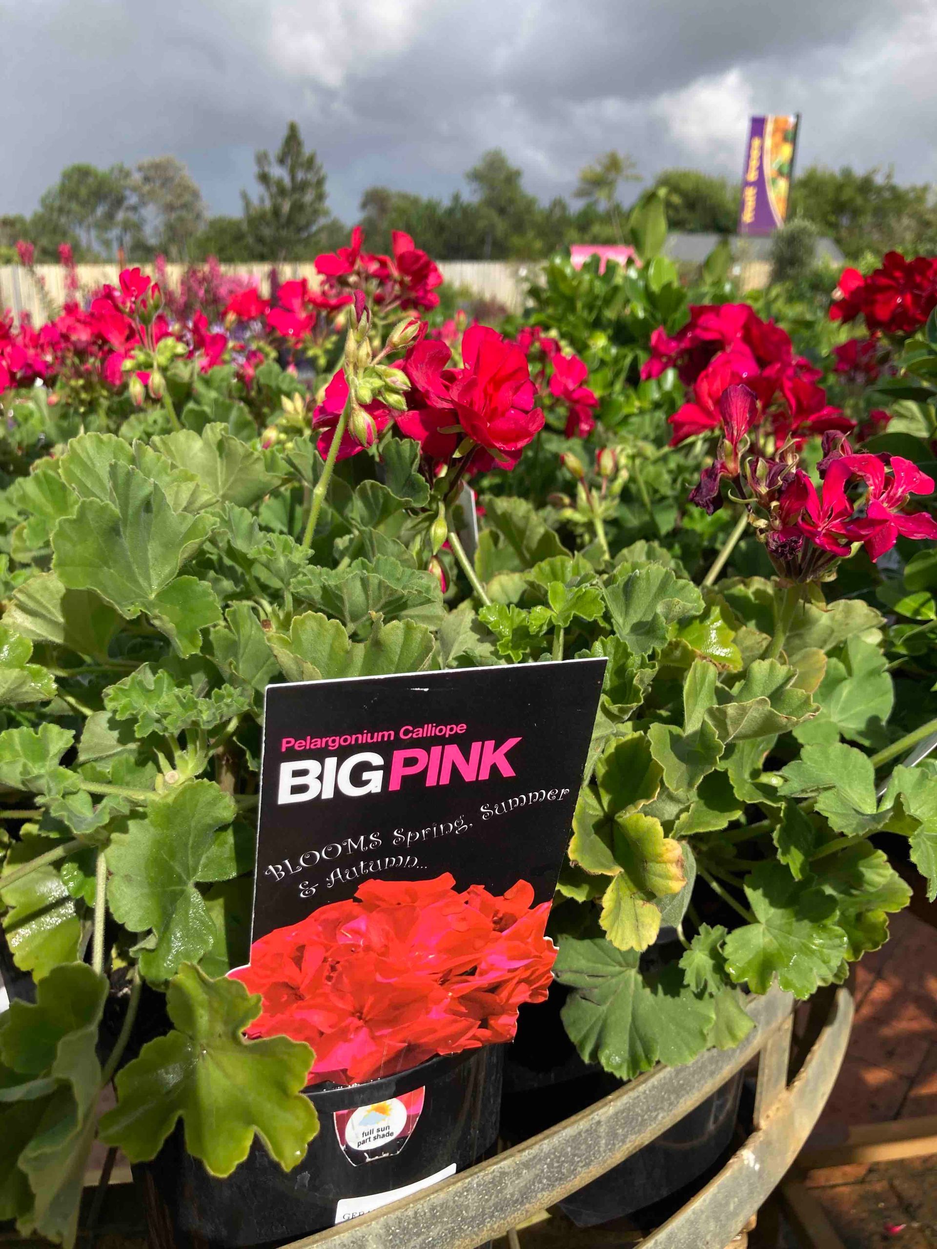 Timbara Garden Centre