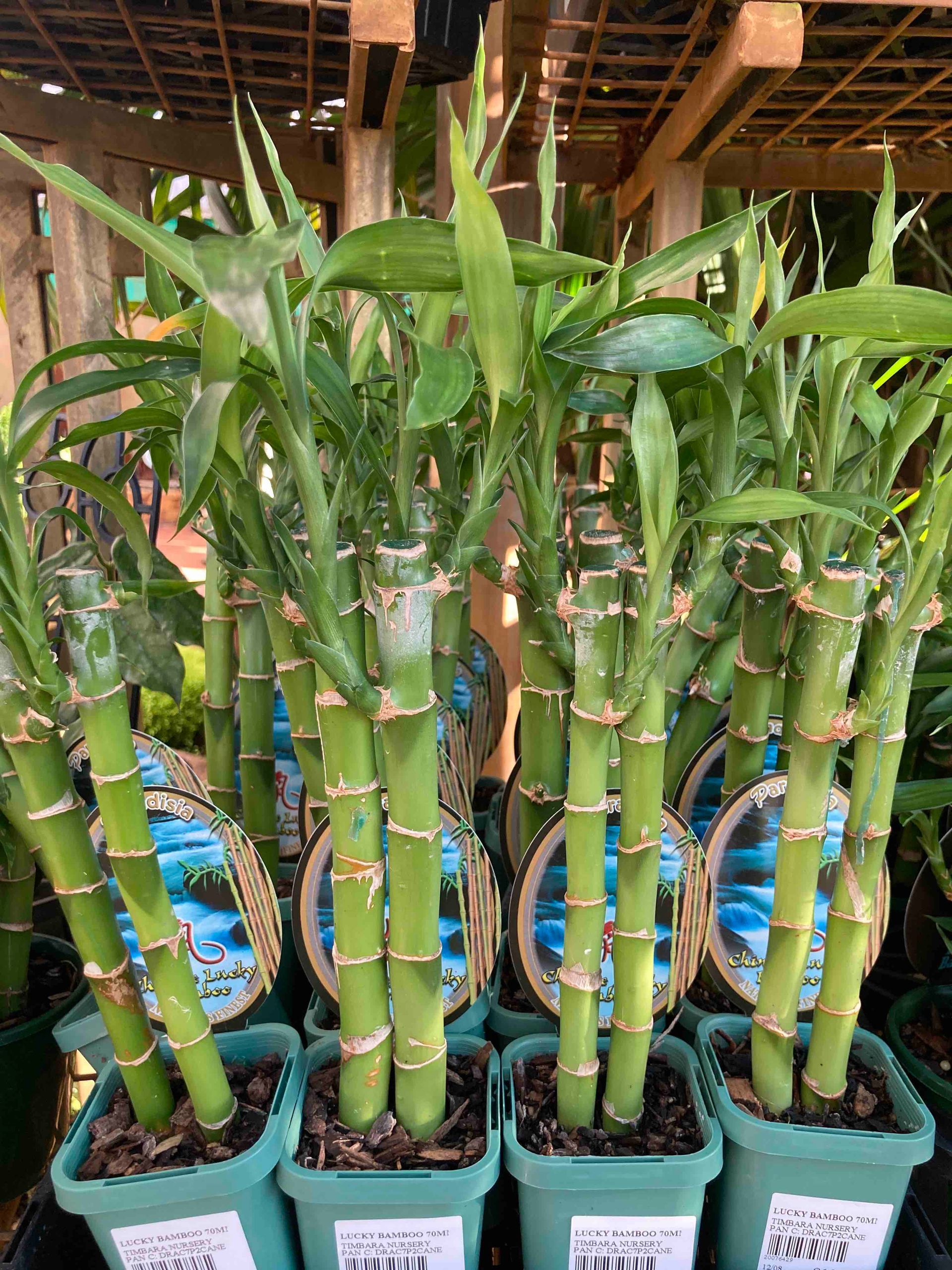 Timbara Garden Centre