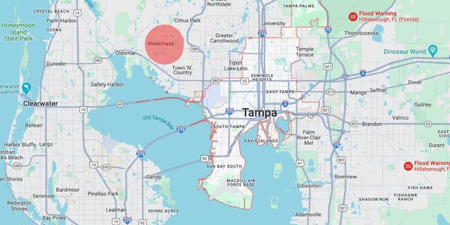 Tampa Zip Code New Tampa, Tampa FL Neighborhood Guide | Trulia