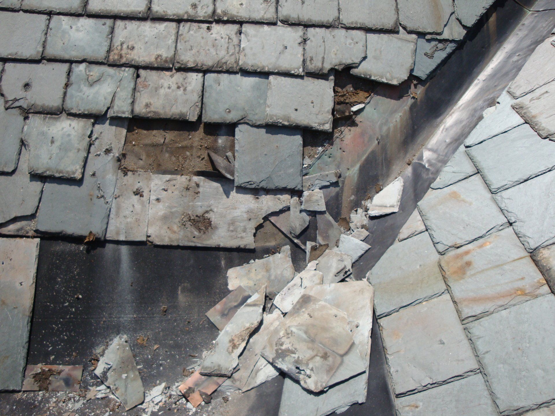 Your Commercial Roof and Bird Damage