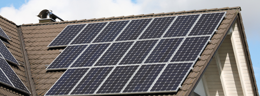 Green Roofing Solutions for Eco-Conscious Homeowners