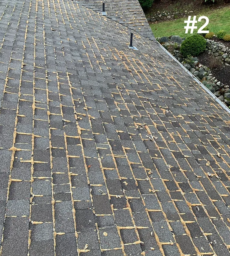 Roof Cleaning Service | Moss Removal