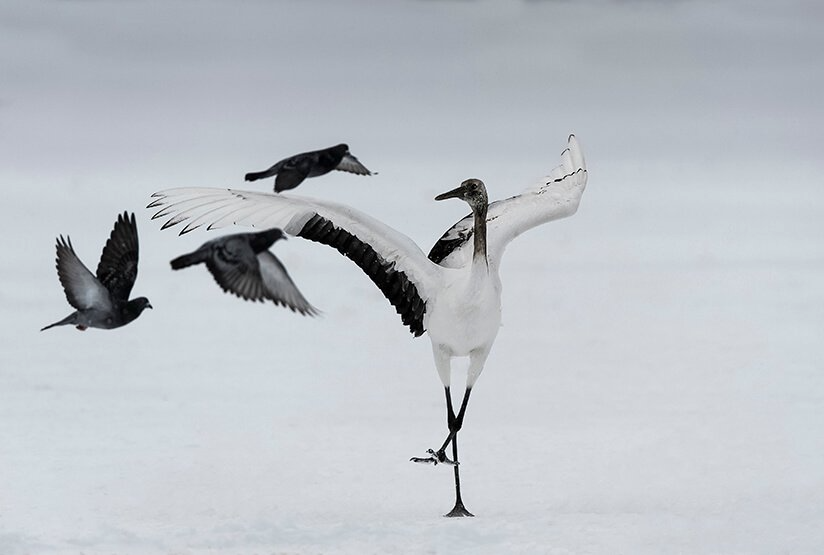 Bruna Photography | Dancing In The Wind