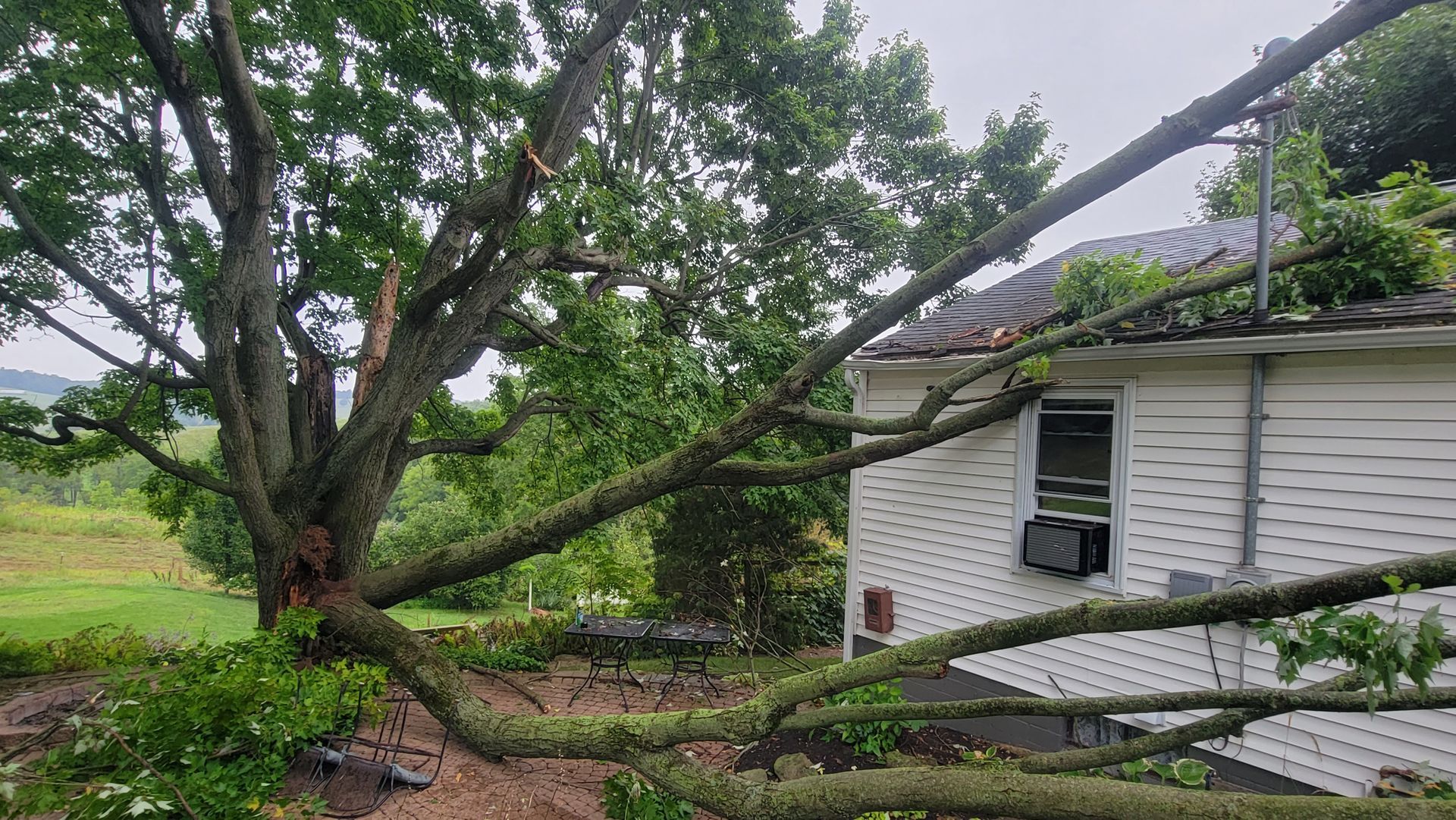 Emergency Tree Service Millersburg, OH | Storm Damage Cleanup