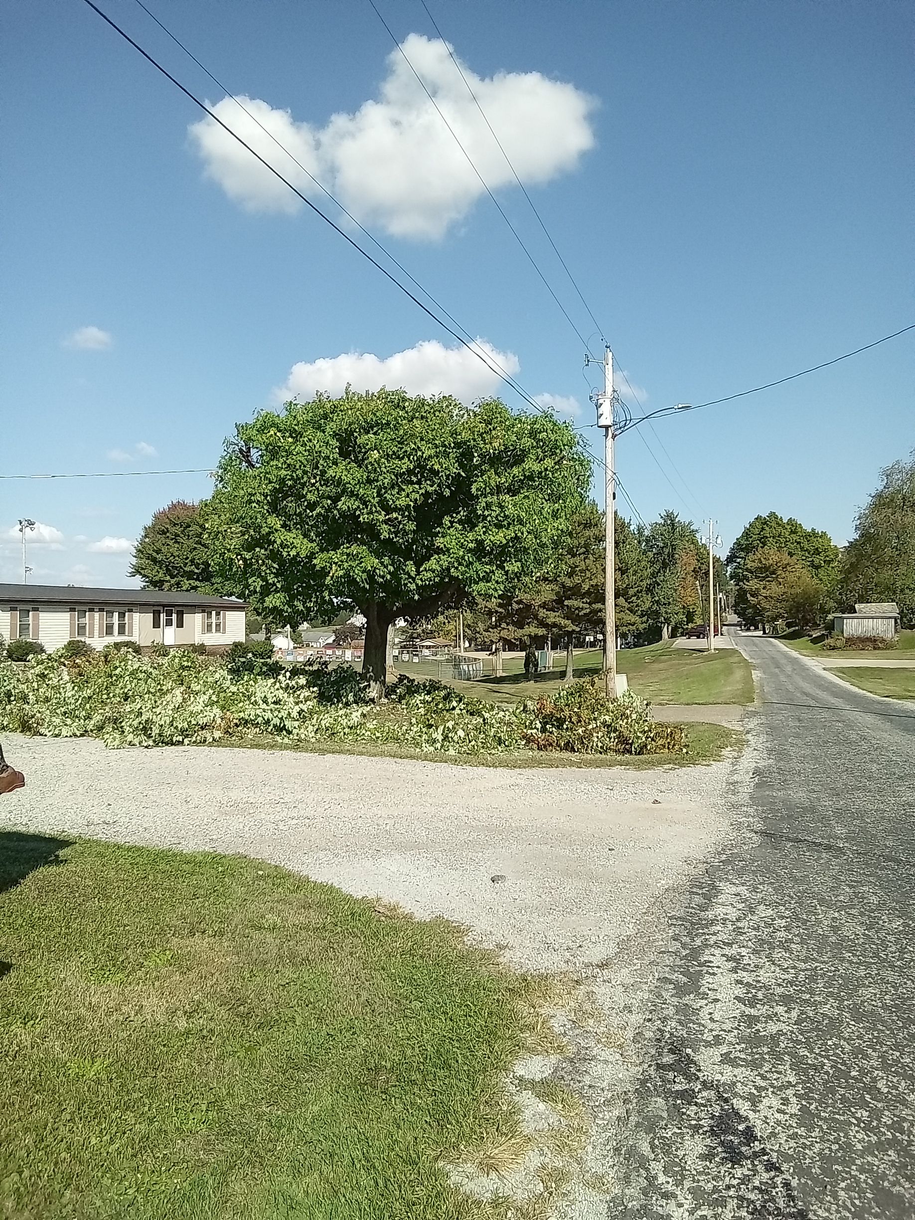 Commercial Tree Service | Northern Ohio | Hershberger Tree Service