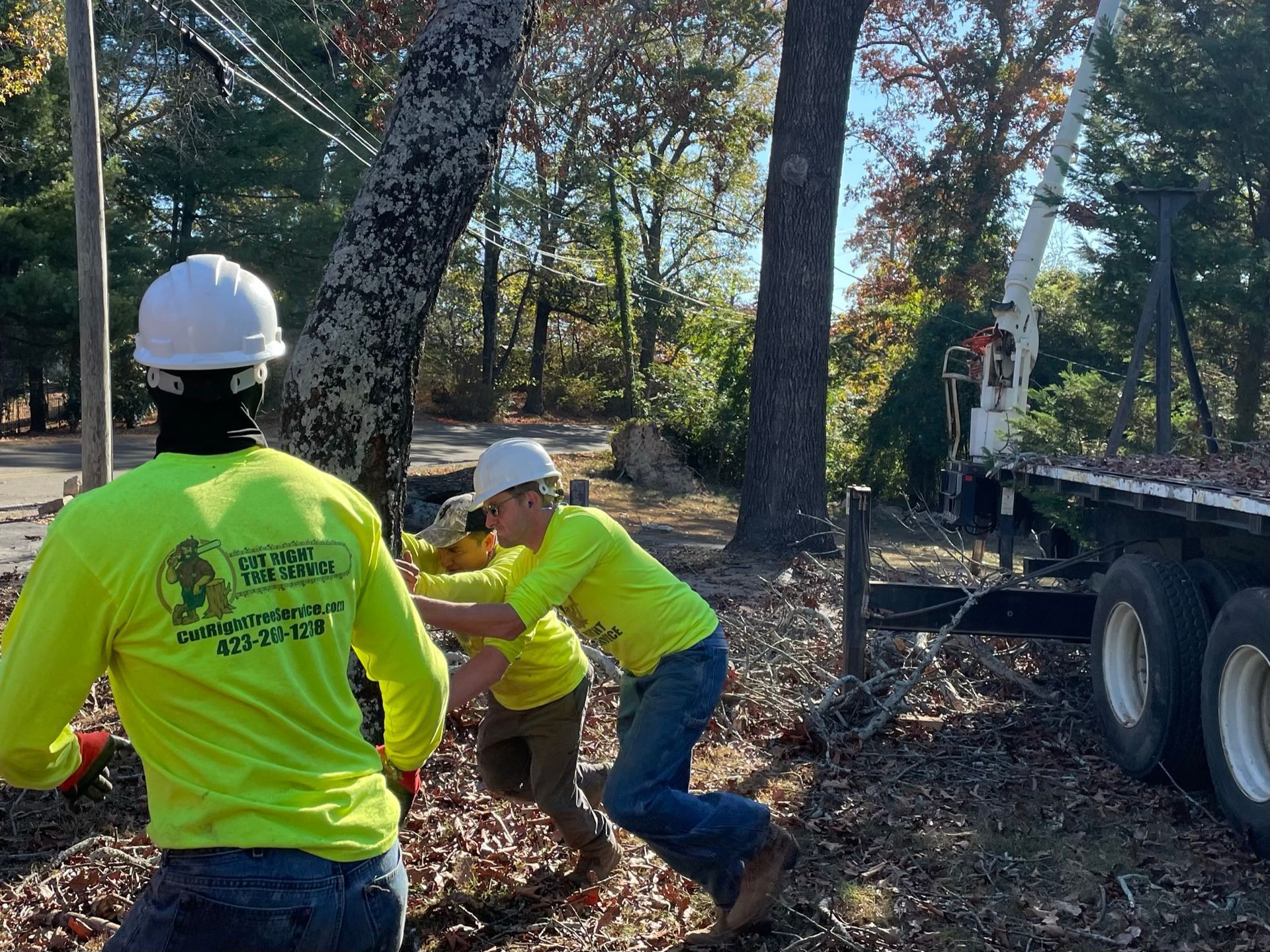Local Tree Service Chattanooga, TN | Cut Right Tree Service