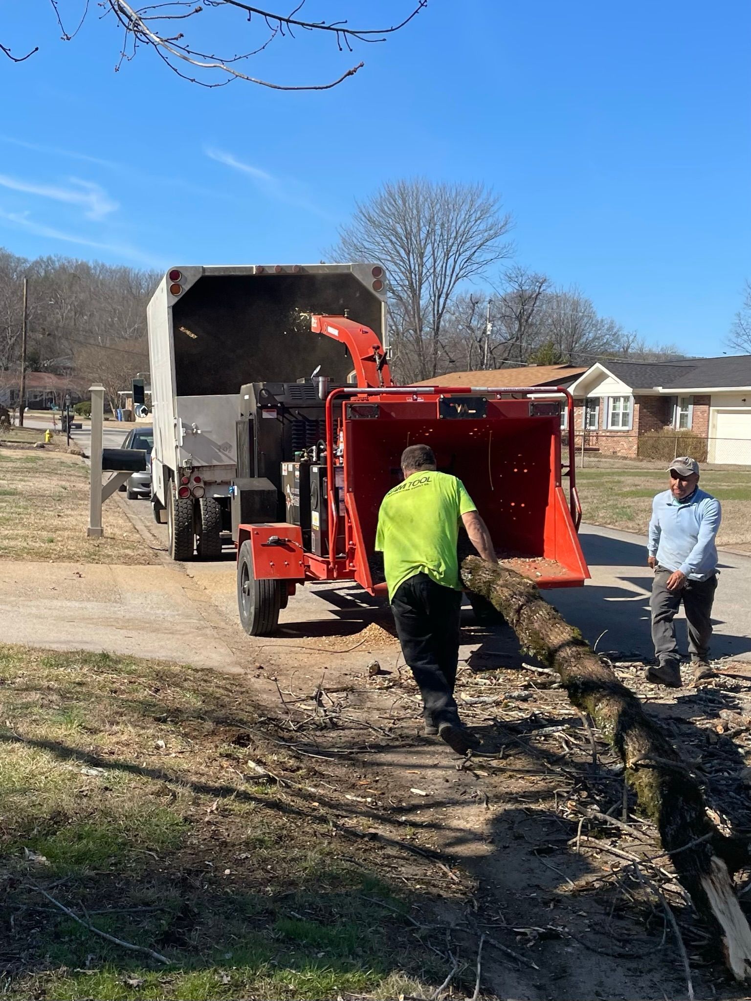 Local Tree Service Chattanooga, TN | Cut Right Tree Service