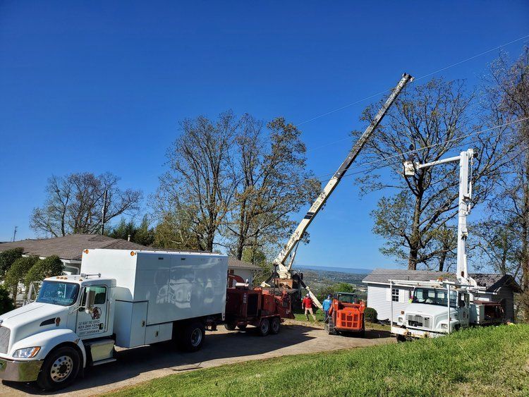Local Tree Service Chattanooga, TN | Cut Right Tree Service