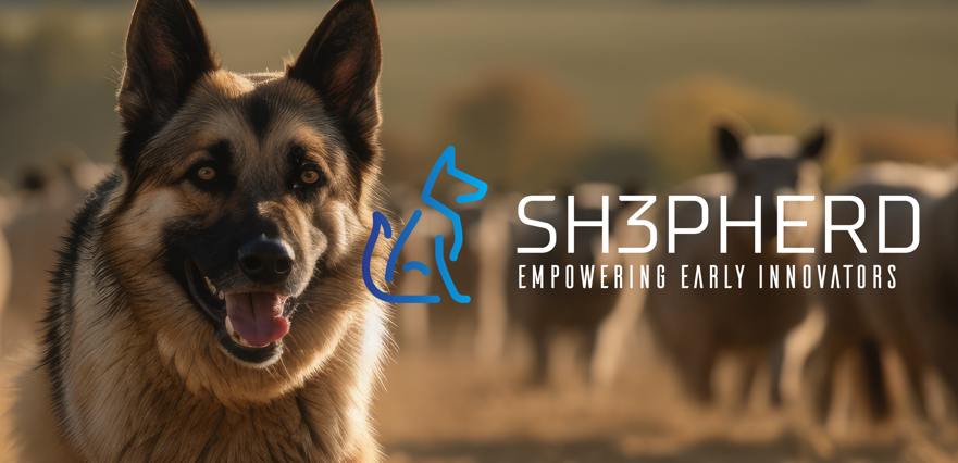 SH3PHERDing startup founders to success.