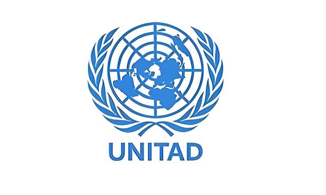 United Nations Security Council Logo