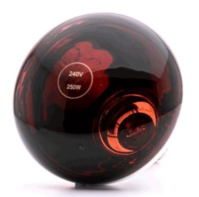 Transform Your Catering Setup with Hard Glass Infrared Lamps!