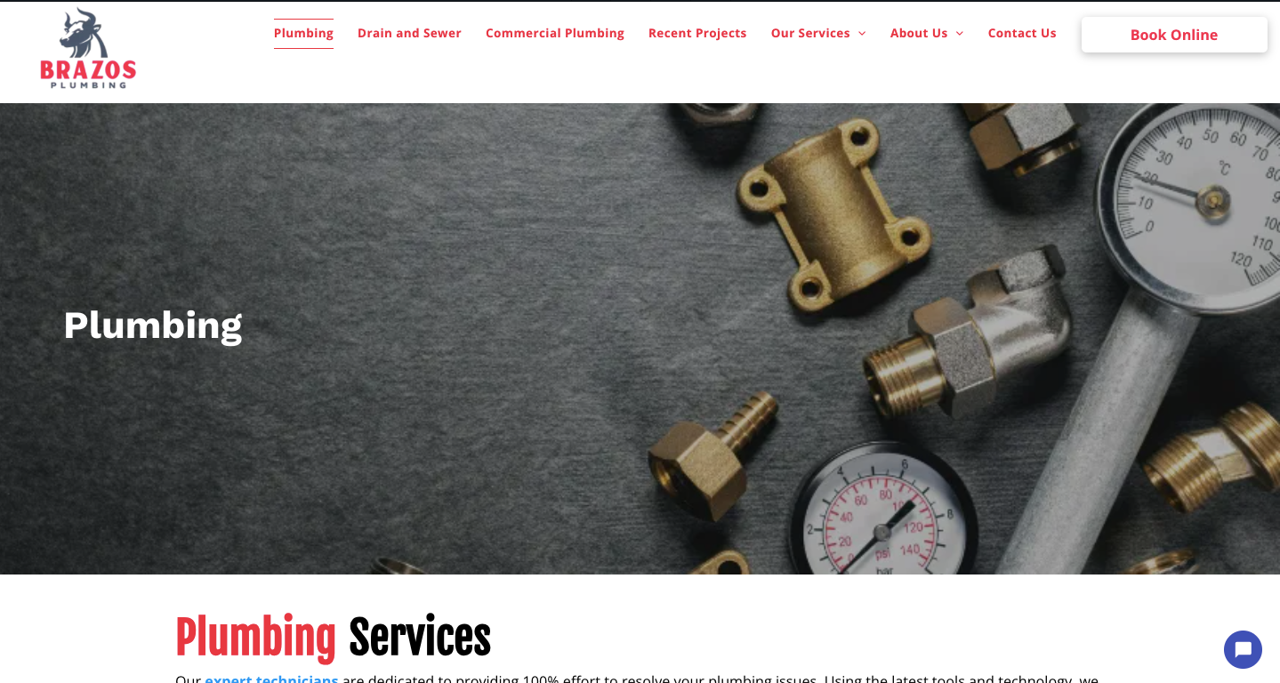 Plumbing Services | Brazos Plumbing | Webster, TX