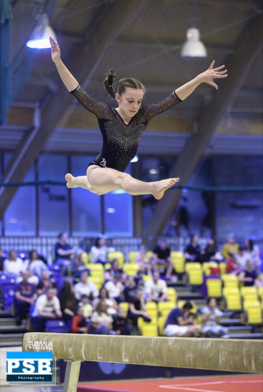 Dumfries Y Gymnastics Club