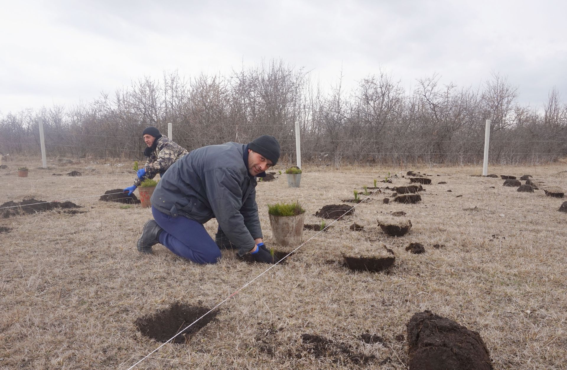 Home [www.armeniatree.org]