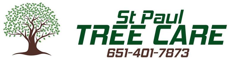 Tree Removal, Tree Trimming Service St,Paul, MN.