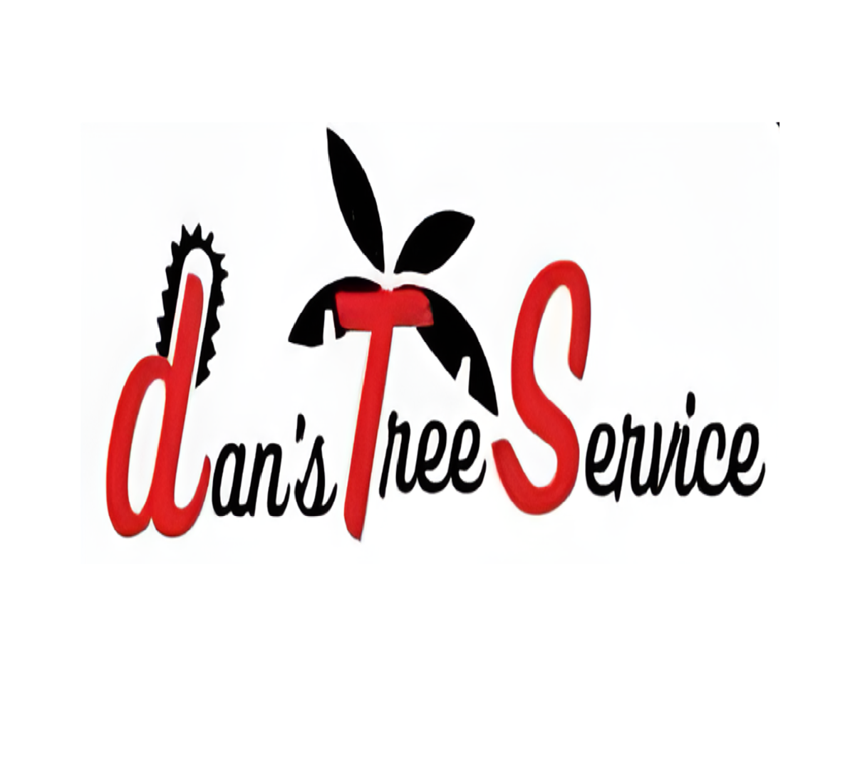 Tree Service | Dan's Tree Service | Melbourne, FL