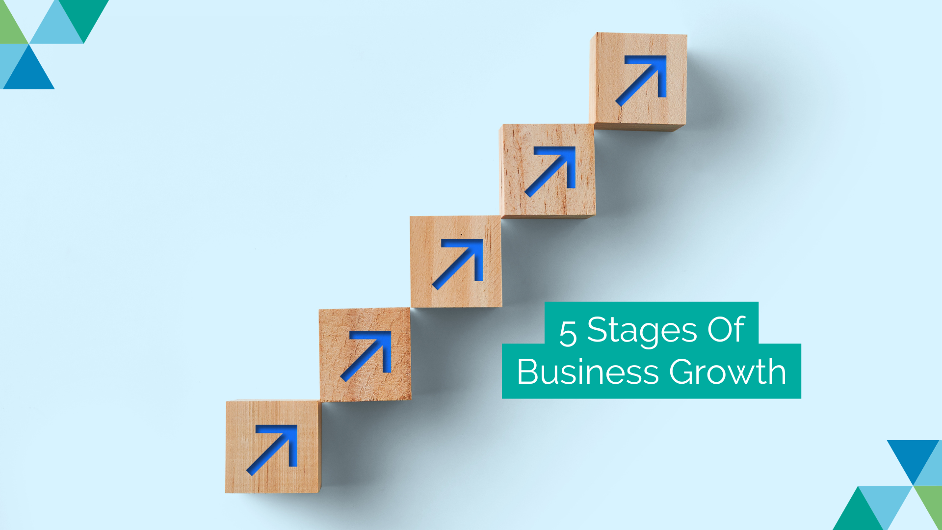 Navigating the Five Stages of Business Growth