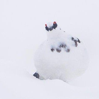 New Locations, New Hides and New Friends