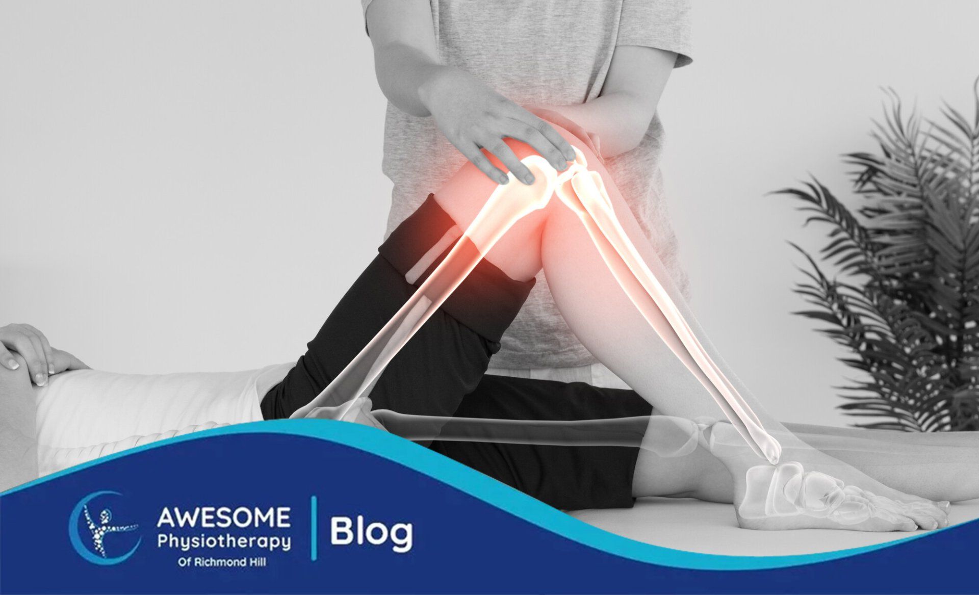 5 Types of Physiotherapy Services in Richmond Hill, Ontario