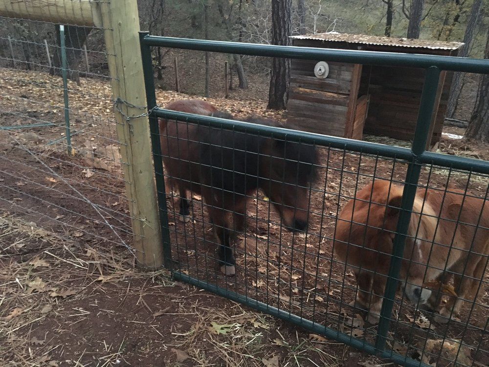 Commercial Fences| Auburn, CA| KAL Fencing
