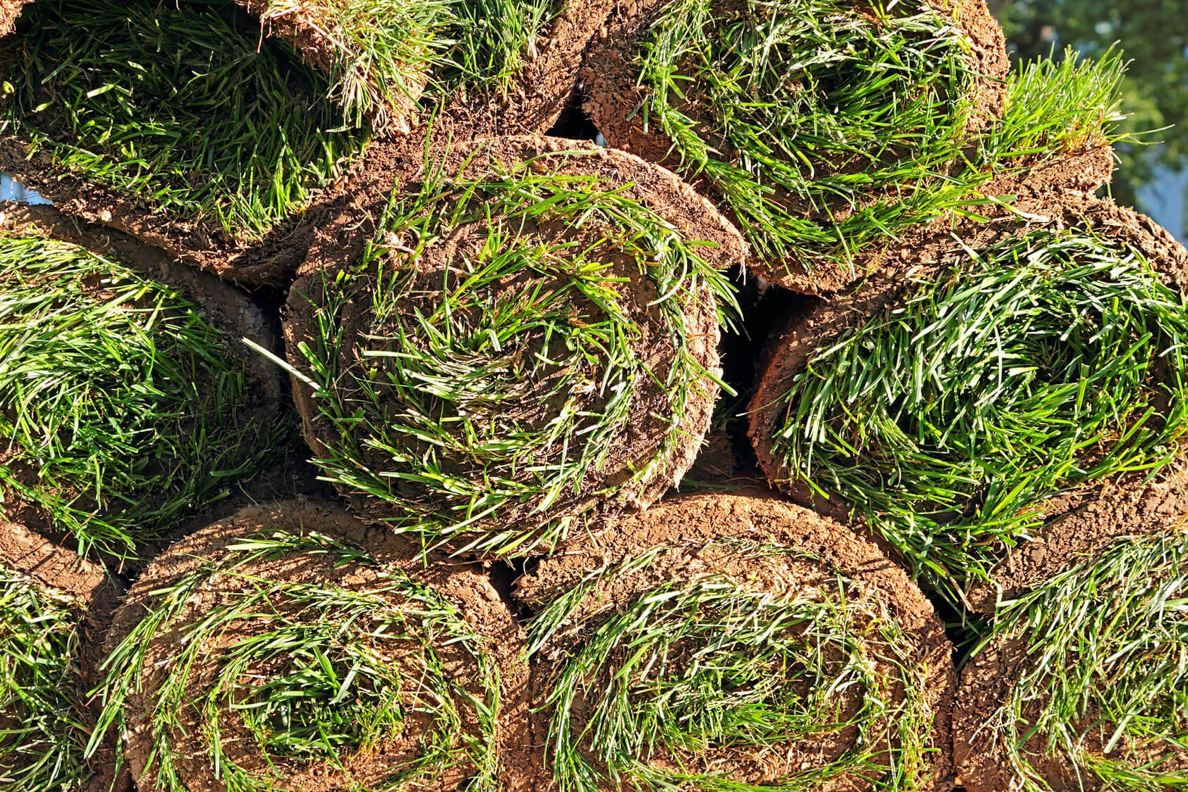 Sacramento Lawn Care, Lawn Mowing Service, Yard Landscape Maintenance