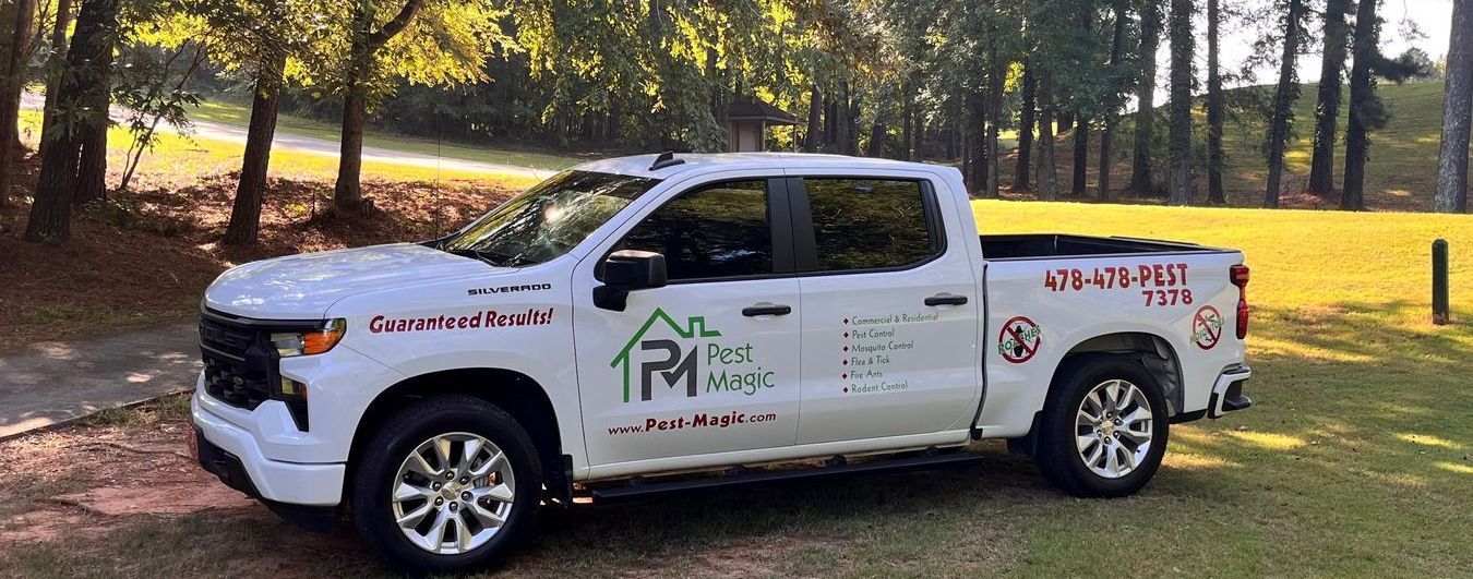 Pest Magic | Contact