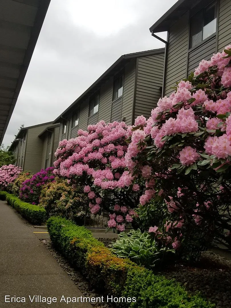 Home | Erica Village