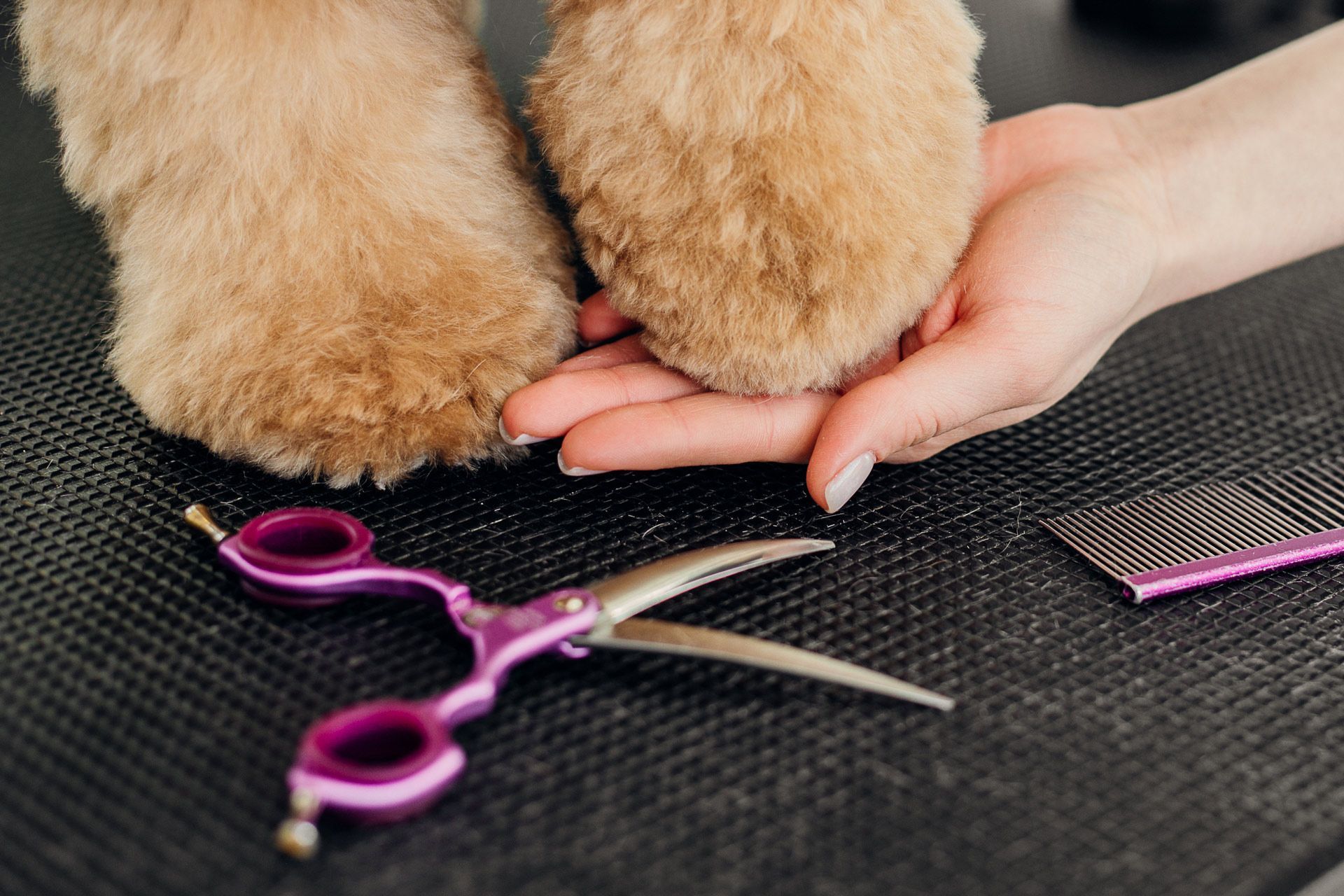 Japanese Scissors Sharpening | Loudon, TN | Lightning Sharp