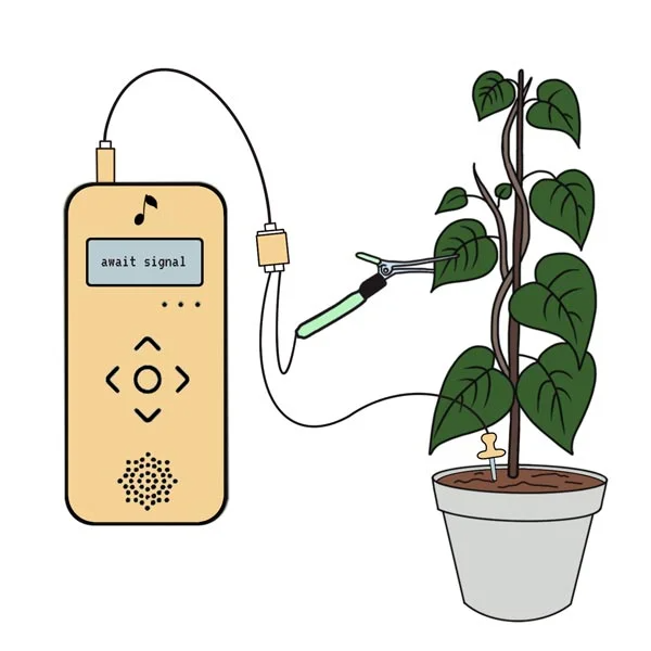 How it Works - Plant Music Australia