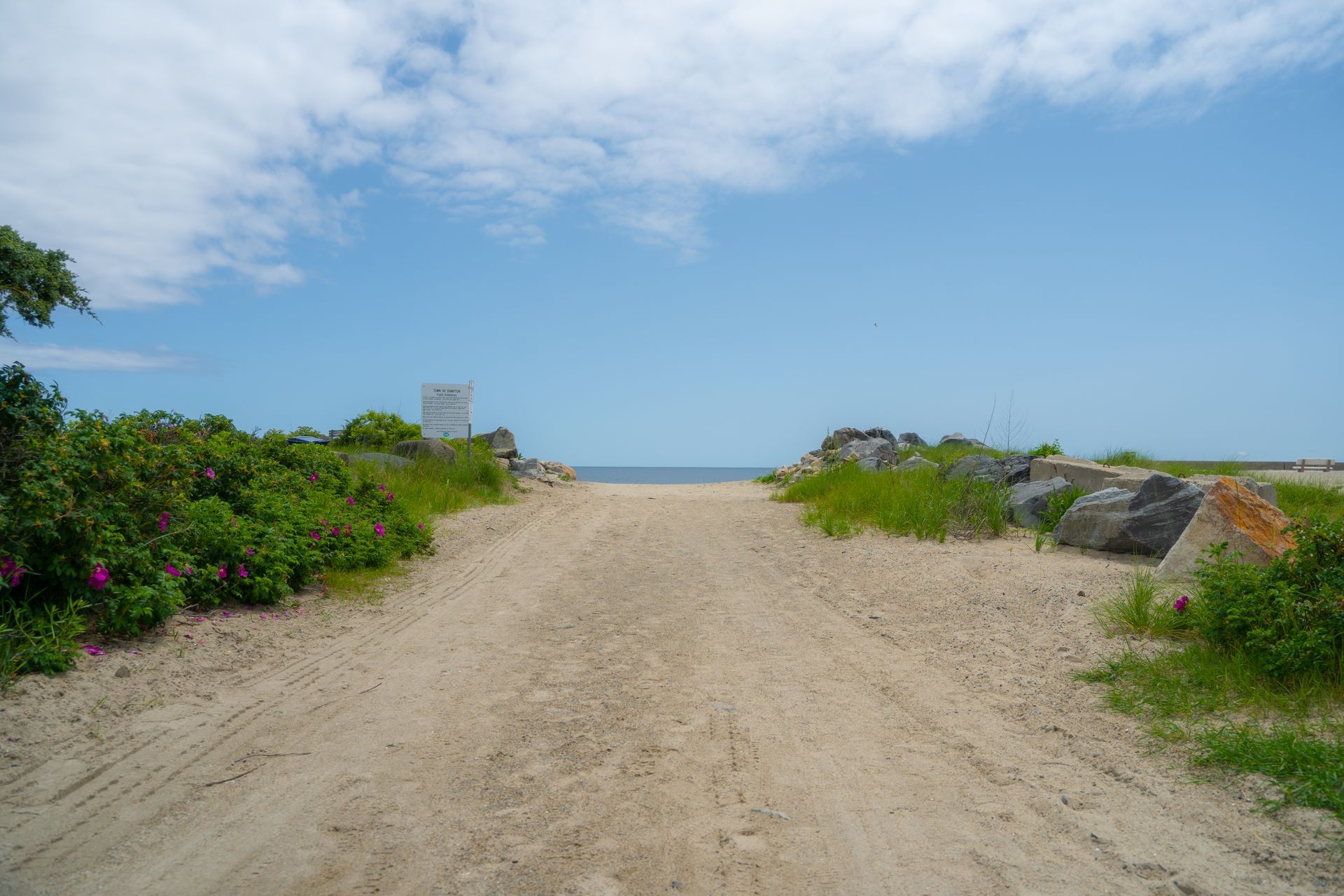 Gallery | Capturing Beachside Moments