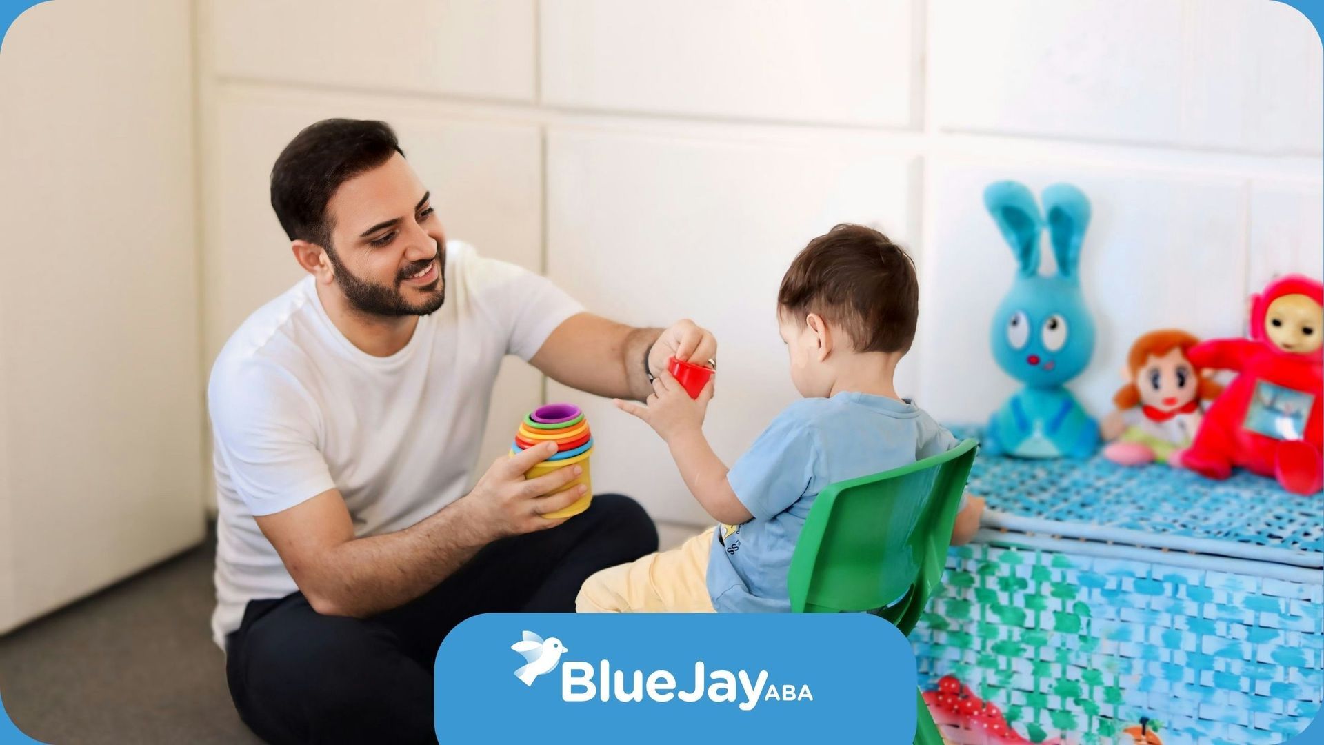 What Are Stimulus Control Transfer Procedures? | Blue Jay