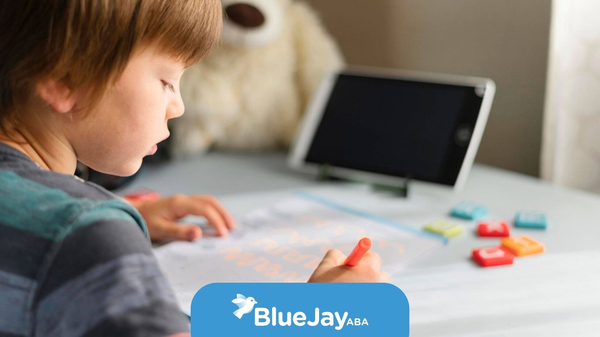 A Detailed Guide to Scripting in Autism | Blue Jay ABA