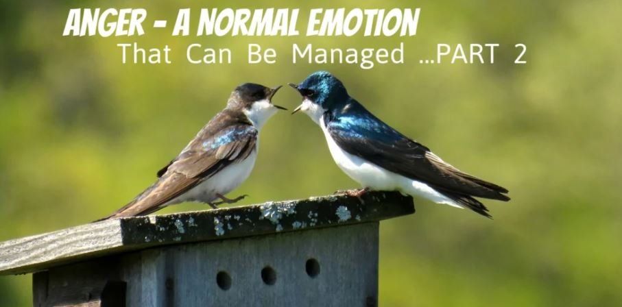 Anger - A Normal Emotion Part 2