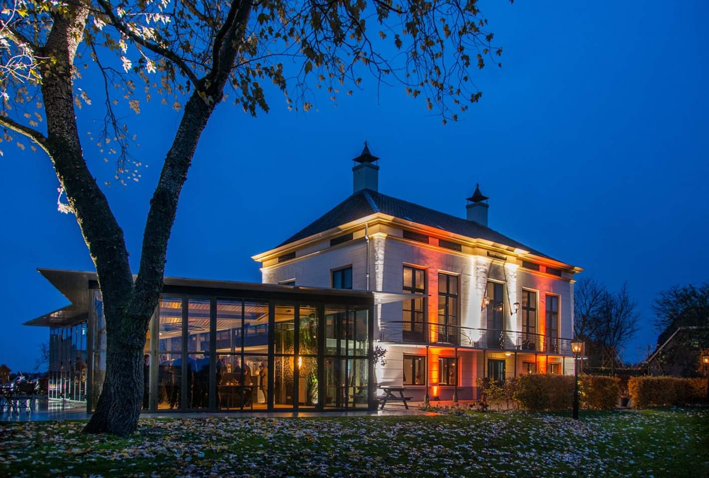 Judy van Meteren Dripping Art Paintings