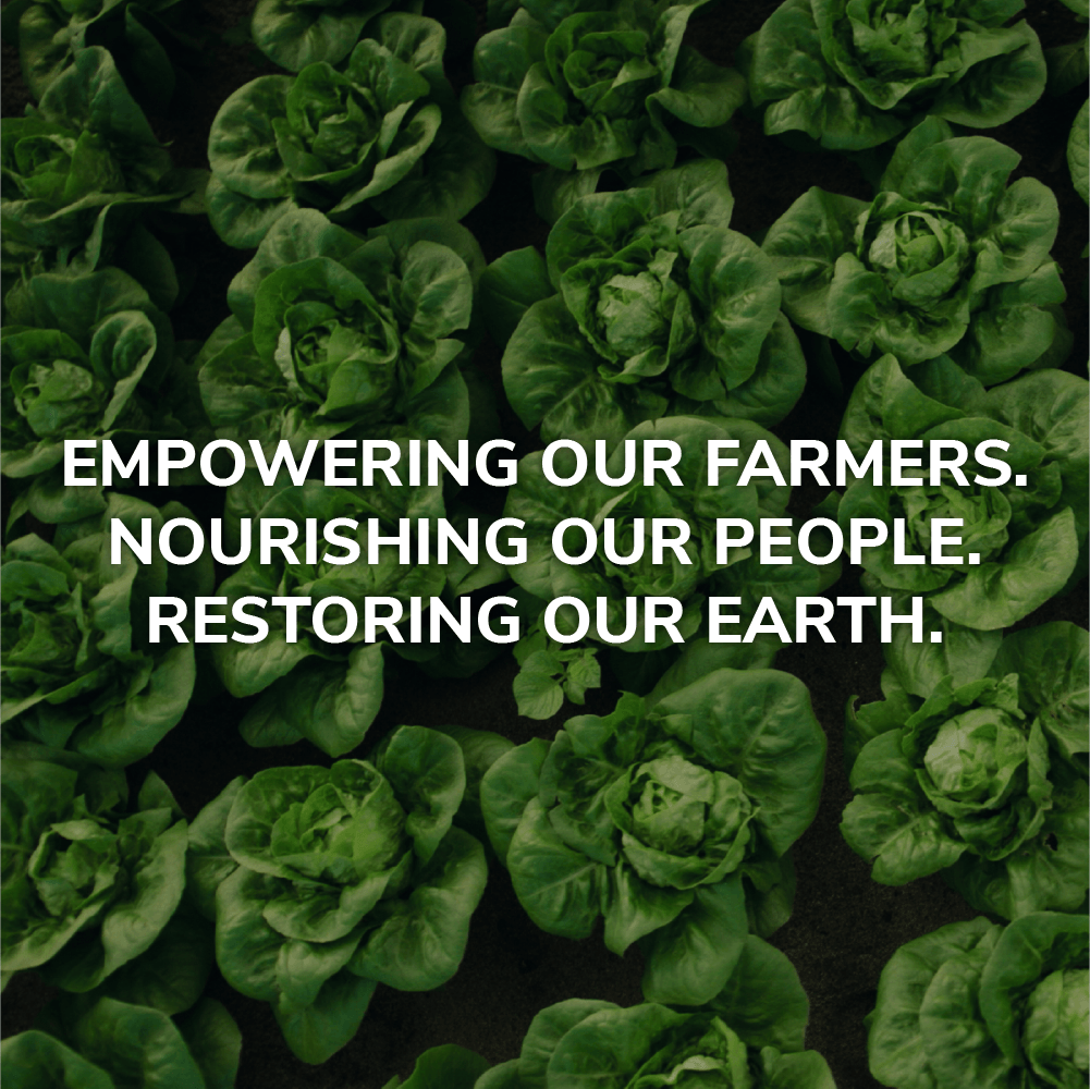 Privacy Policy | RLF AgTech - Grow With Us