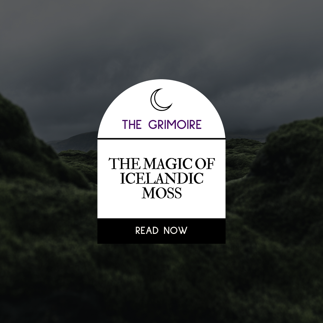 Exploring the Magical Uses of Icelandic Moss
