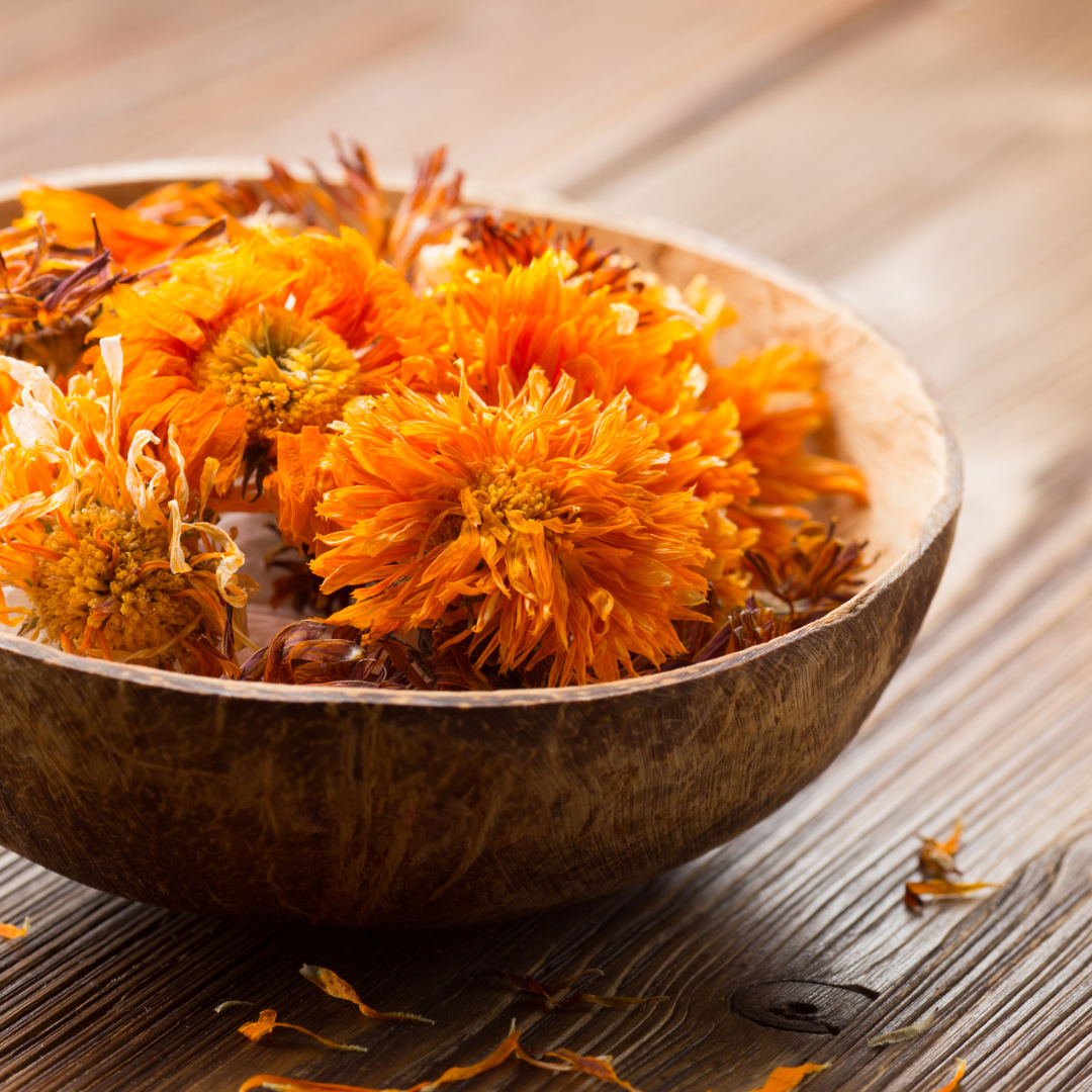Exploring the Magical Uses of Calendula Flowers