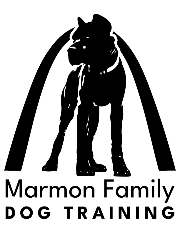 St. Louis Dog Training - Home